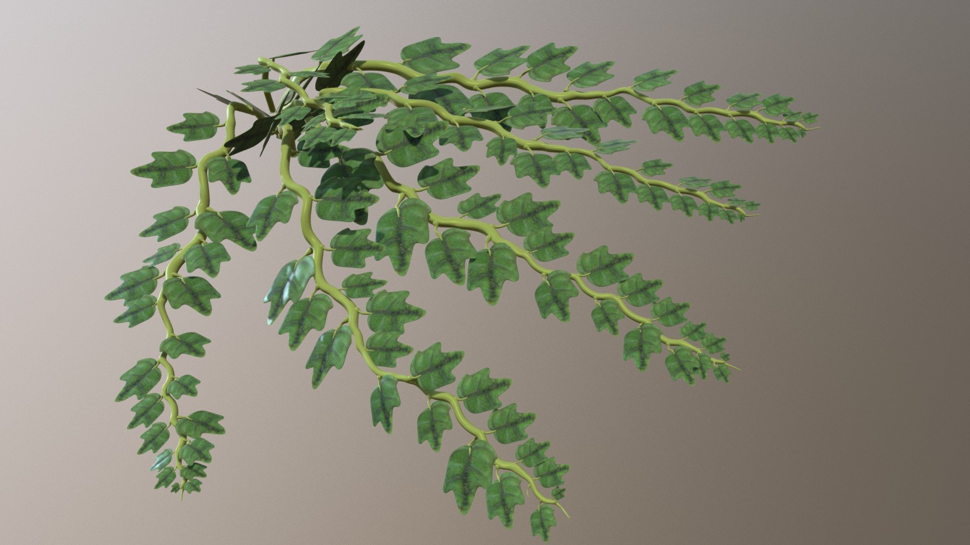Miniature Ivy plant - 3D model by Beadmaker [f2331e3] - Sketchfab