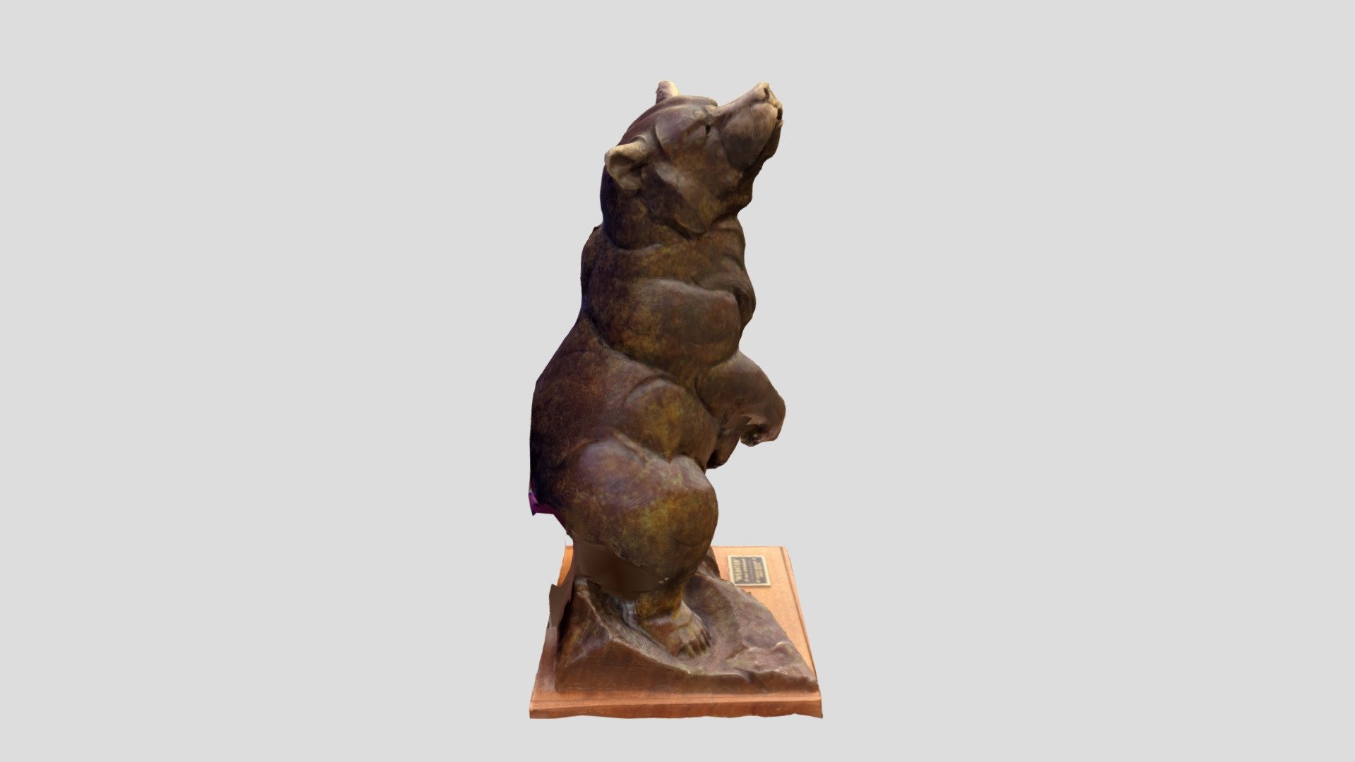 Webster - Download Free 3D model by sam (@srs232) [f241eba] - Sketchfab