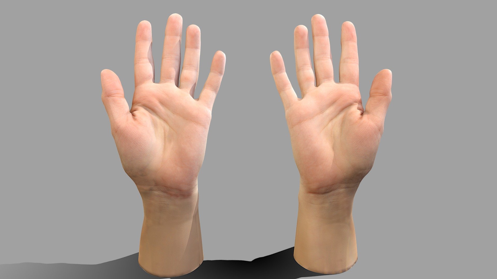 Female hands open - 3D model by Lassi Kaukonen (@thesidekick) [f2443df ...