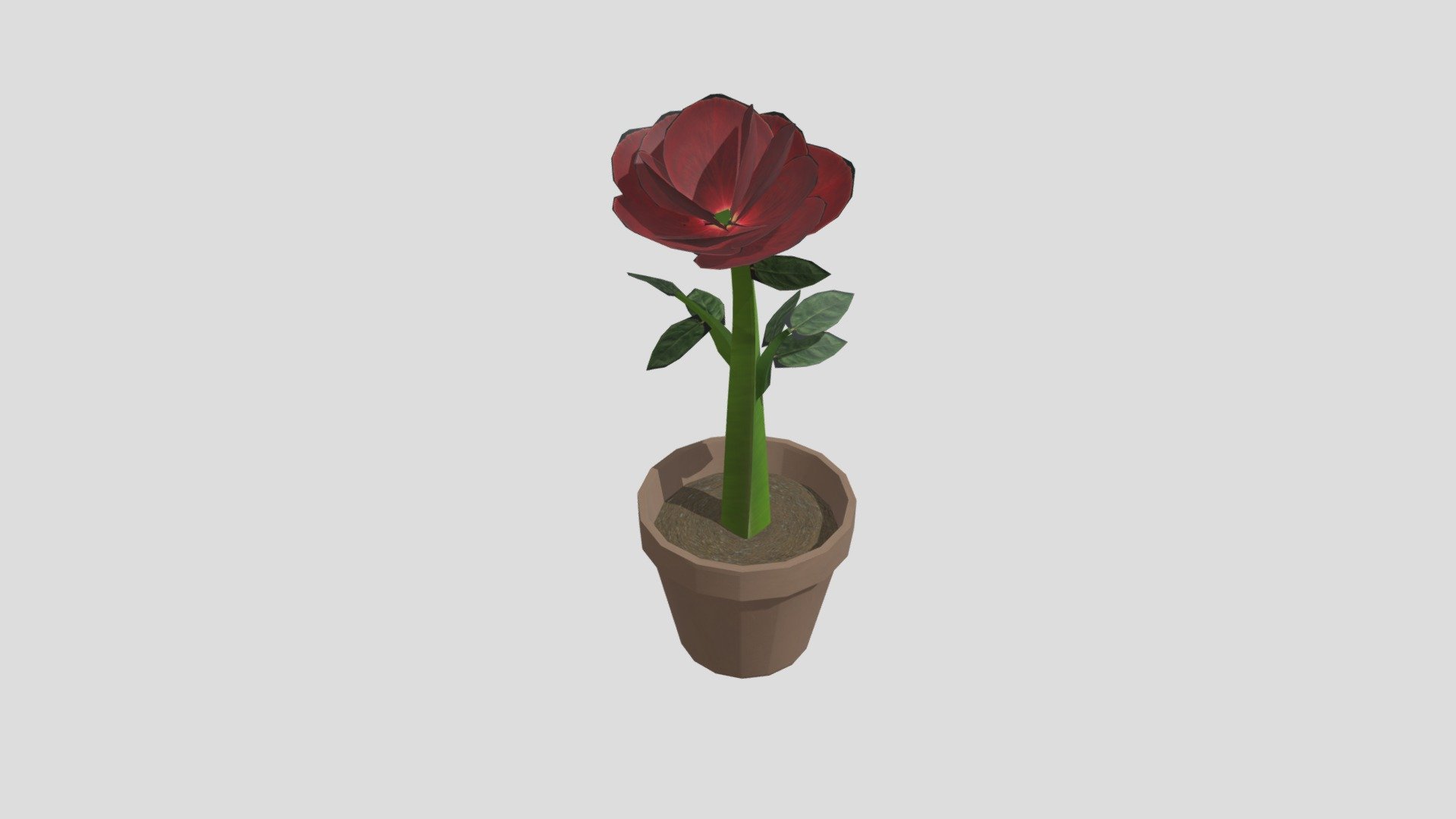 rose - 3D model by ajhannon25 [f245949] - Sketchfab