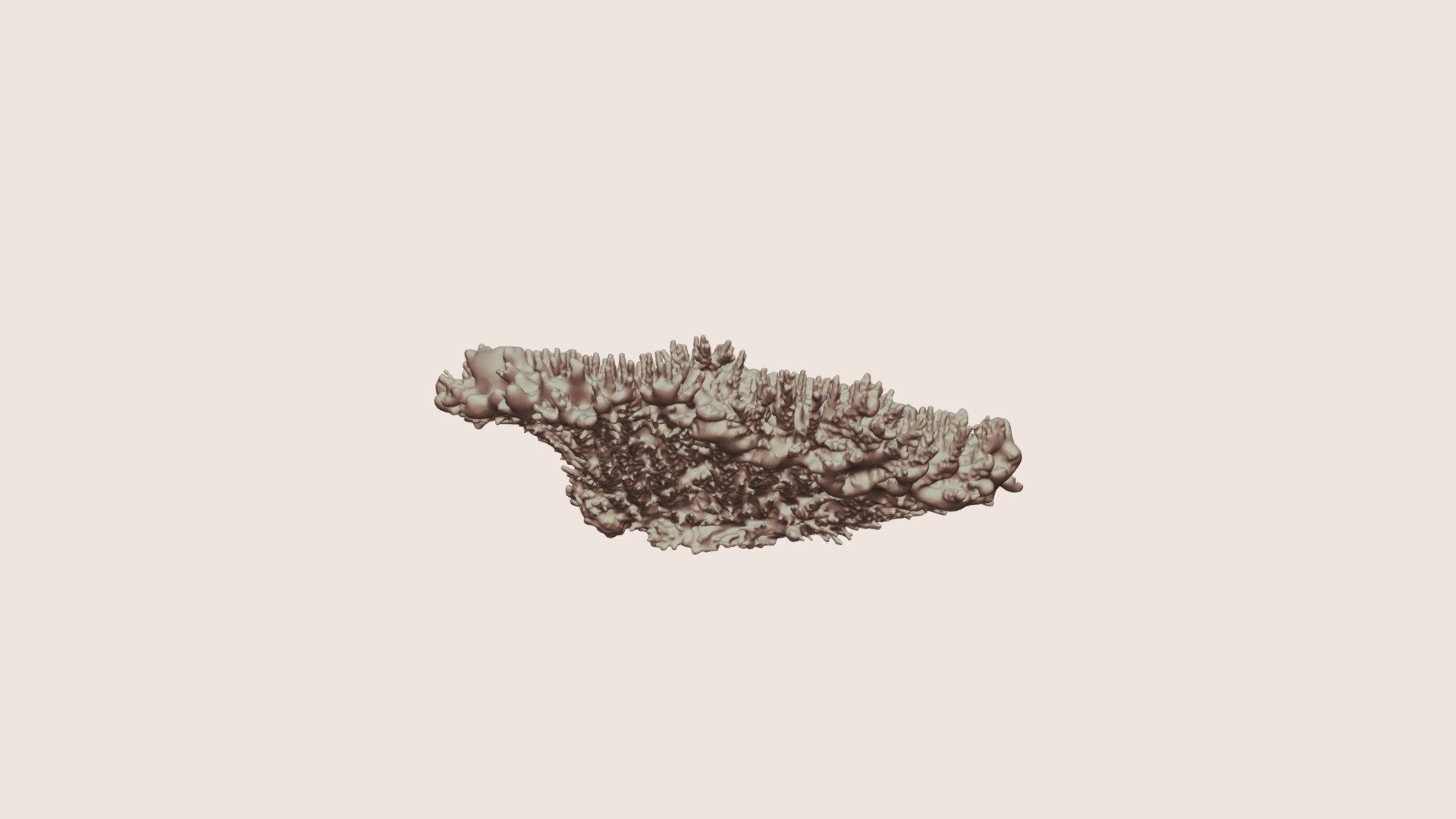 Acropora (Caespito-corymbose) - Light Scanned - 3D model by DarrylV ...
