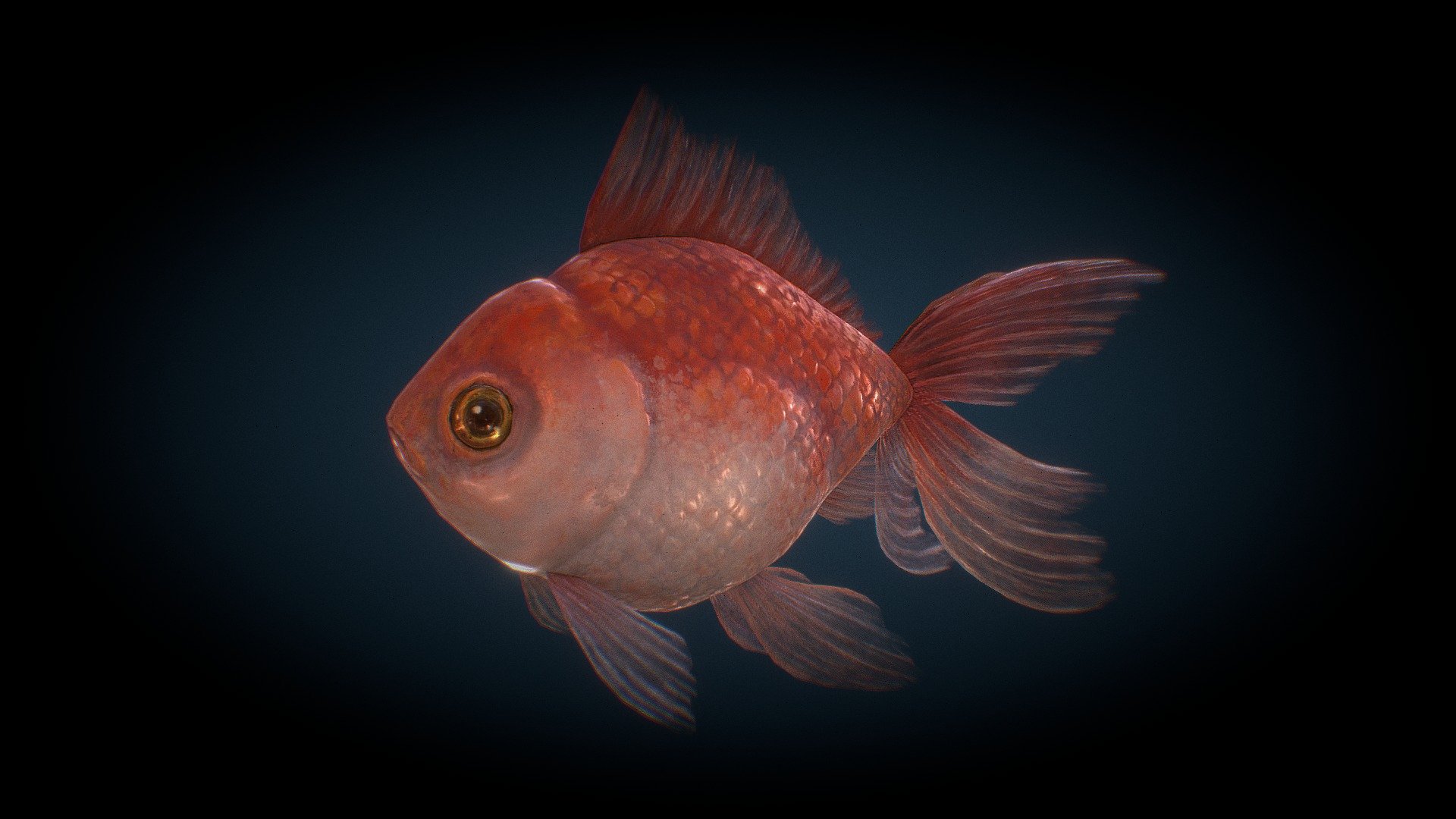 Goldfish - Buy Royalty Free 3D model by Valfreyja [f247cff] - Sketchfab ...