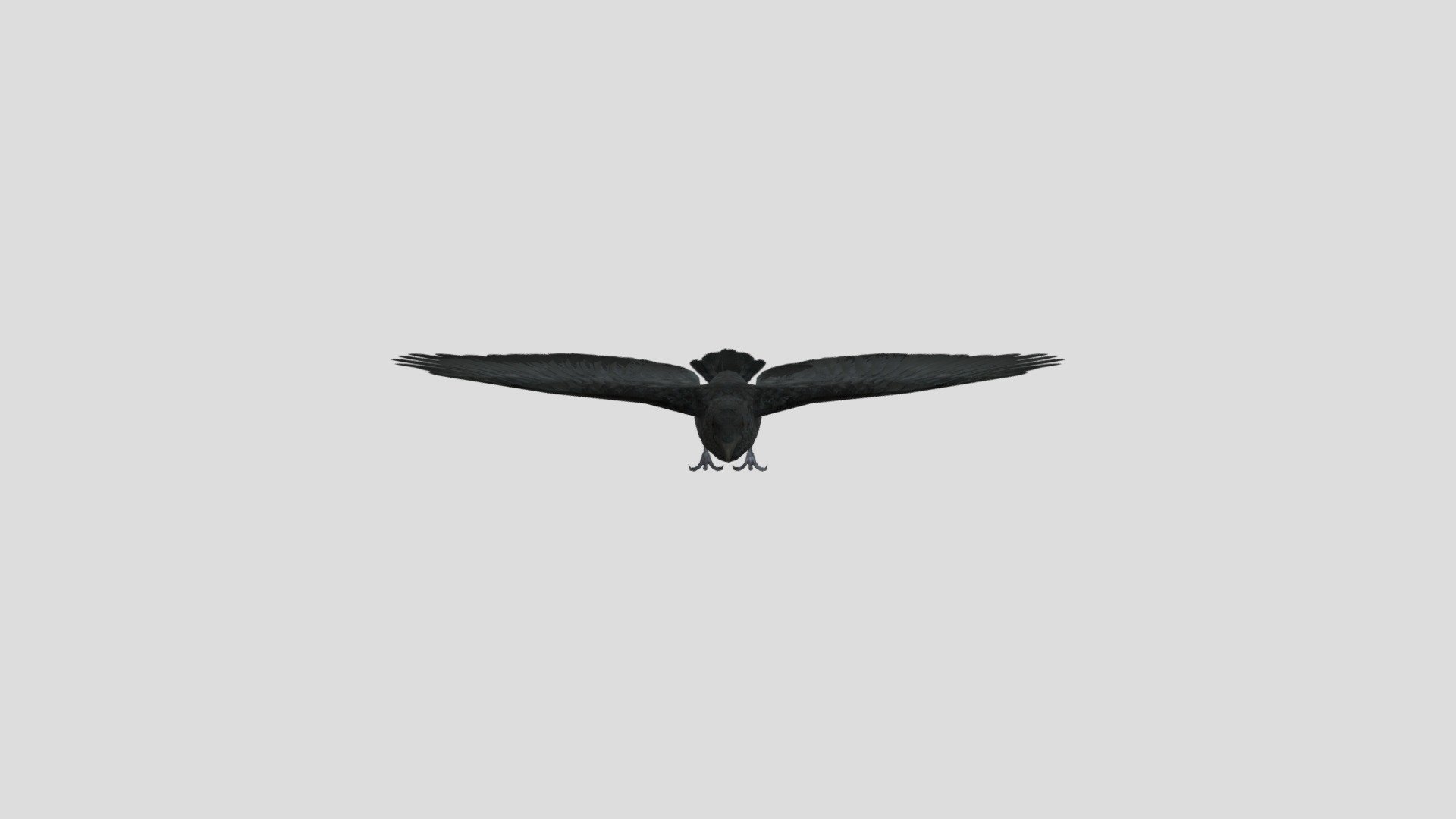 crow - 3D model by 409730214 [f247d64] - Sketchfab