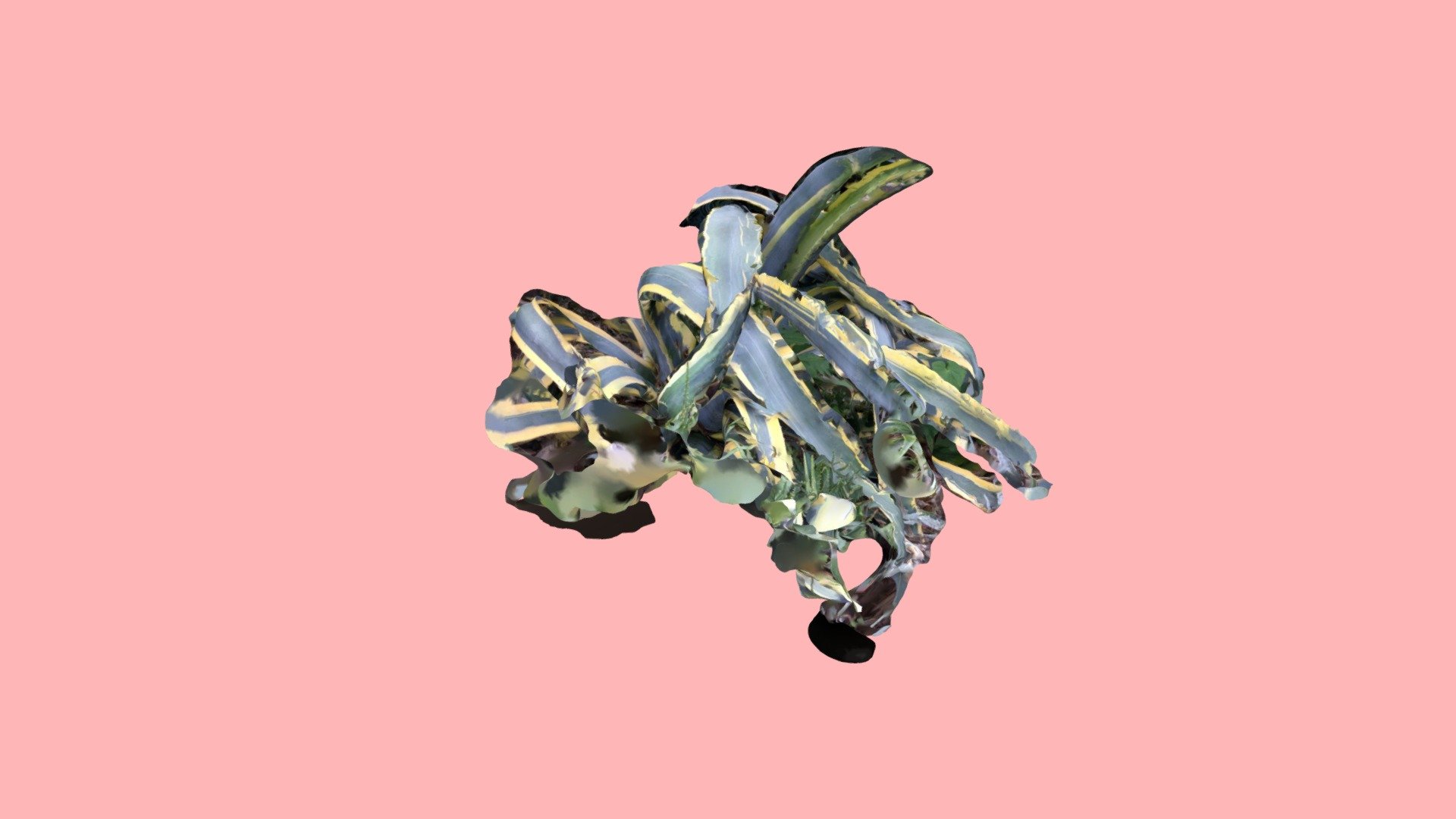 Echo 4 - 3D model by rnajdowski [f252992] - Sketchfab