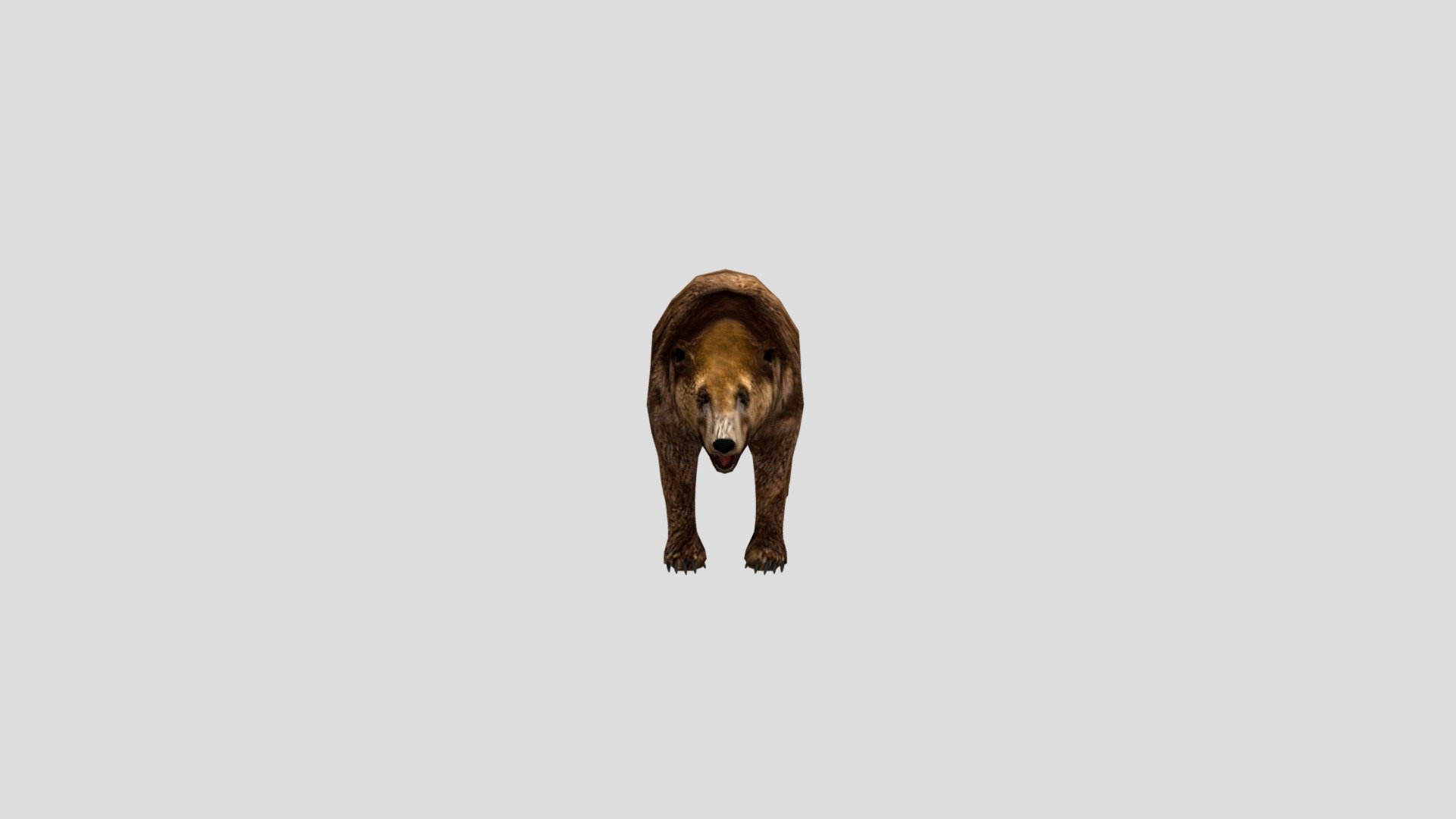Bad looking Bear - 3D model by Mesh21 [f256762] - Sketchfab