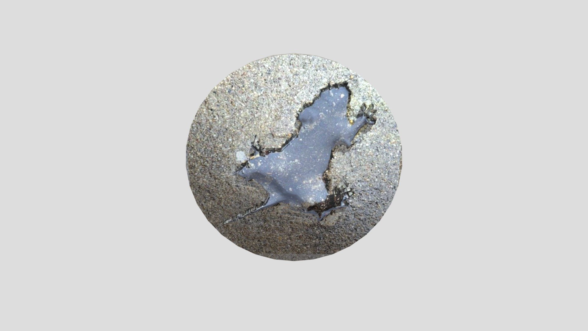 Chicago Rat Hole Mold - Download Free 3D model by la_la_ren ...