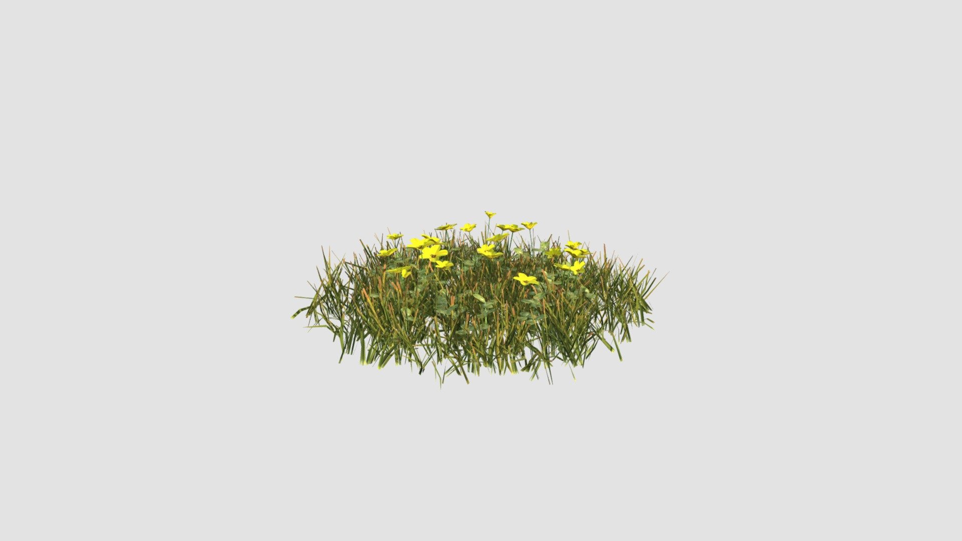 simple grass medium - Buy Royalty Free 3D model by Evermotion [f25b8a4 ...