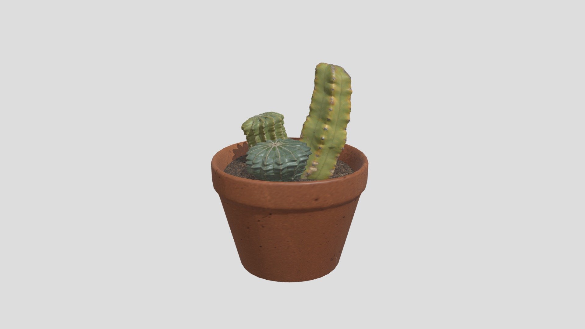 HL2 - Cactus - 3D model by zekeakers1 [f262c61] - Sketchfab