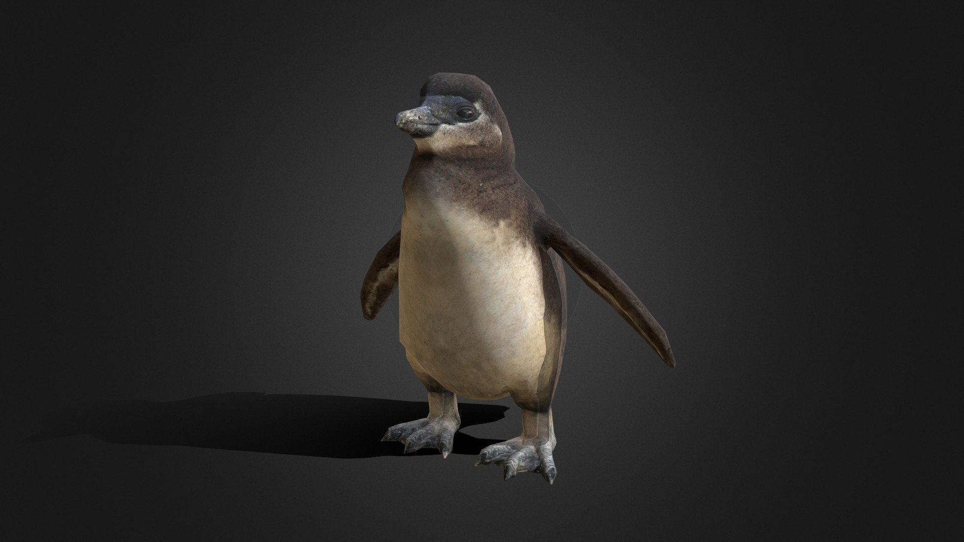 Low Poly Baby African Penguin - Buy Royalty Free 3D model by 3D-IDI ...