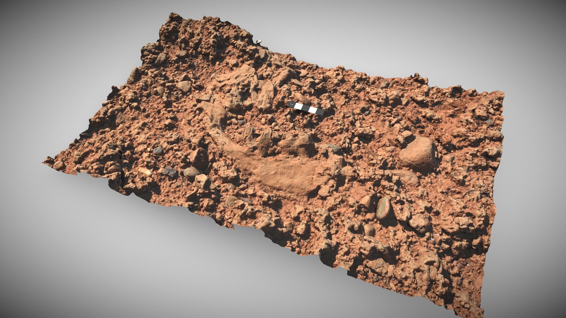 Diprotodon mandible - 3D model by UQ School of Earth and Environmental Sciences (@UQ_SEES ...