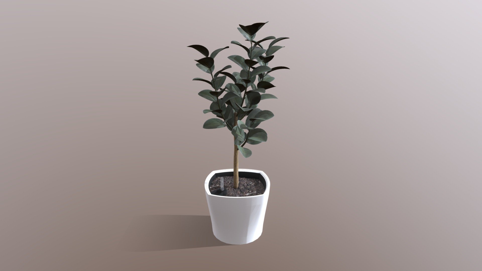 COSMO - 3D model by greenterior [f269bfc] - Sketchfab