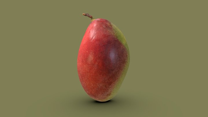 Mango-fruit 3D models - Sketchfab