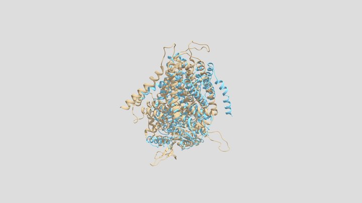 Cellulose 3D models - Sketchfab