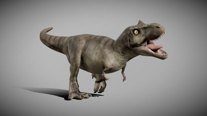 T-rex 3D models - Sketchfab