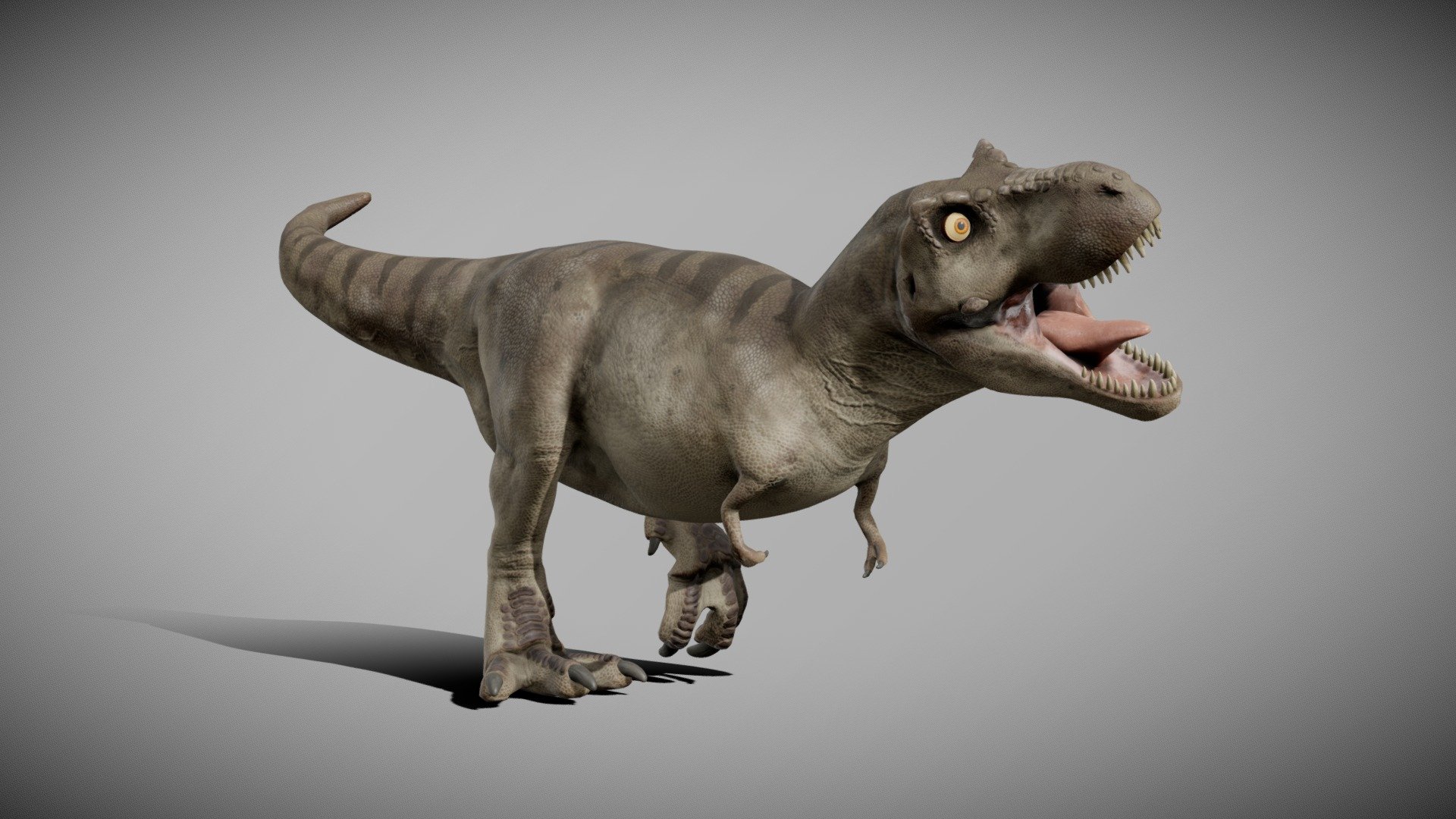 Tyrannosaurus Rex 4.3 - Buy Royalty Free 3D model by 3dartstevenz [f2779bd] - Sketchfab Store