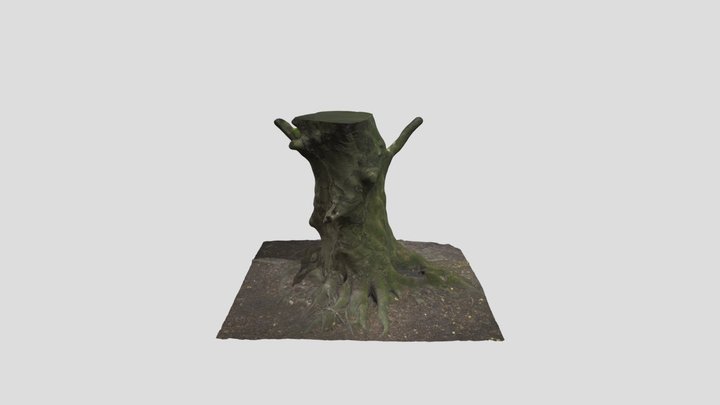 Albedo-texture-map 3D models - Sketchfab