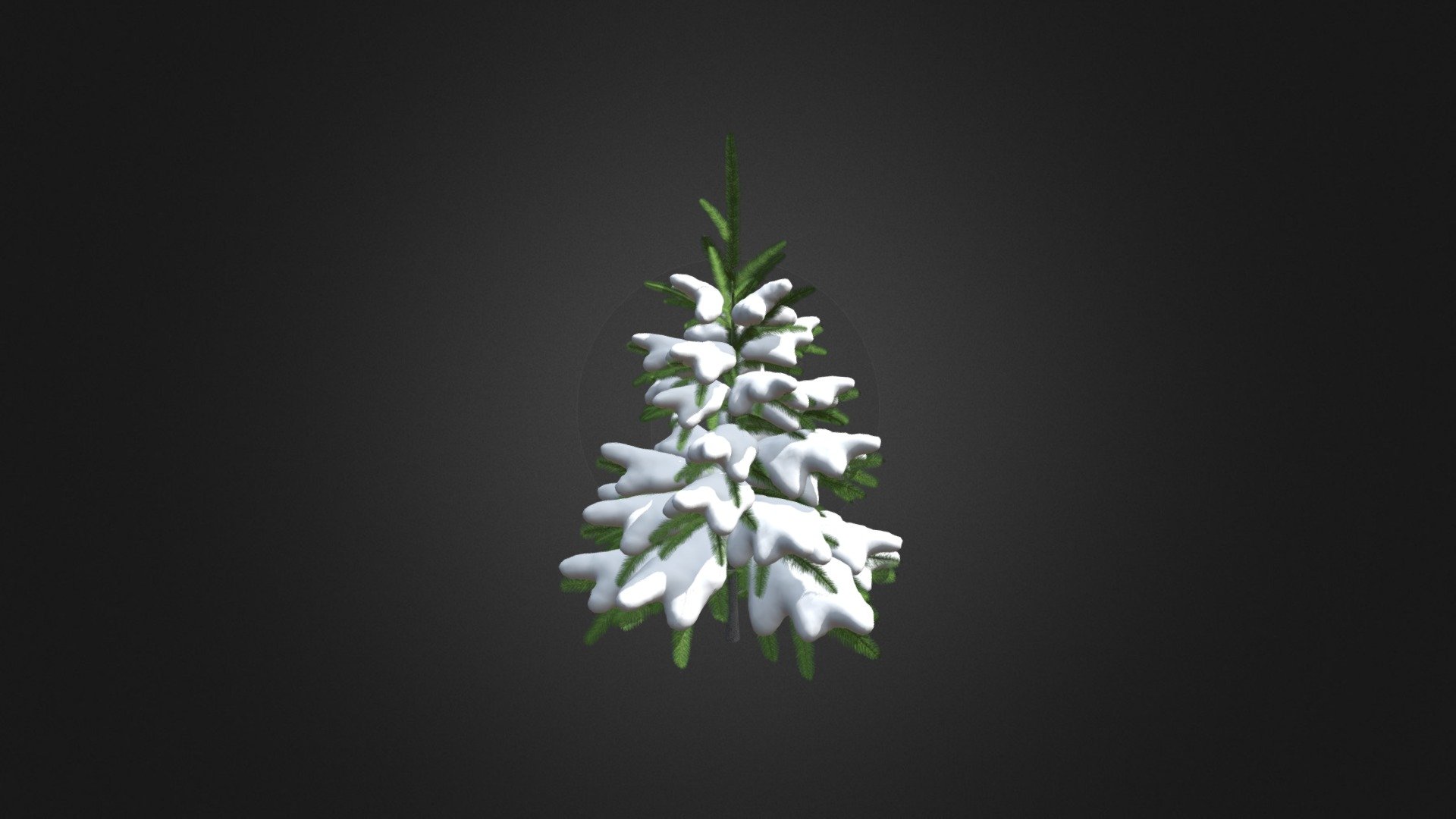 Fir Tree with Snow 3D Model 0.8m - Buy Royalty Free 3D model by cgaxis ...