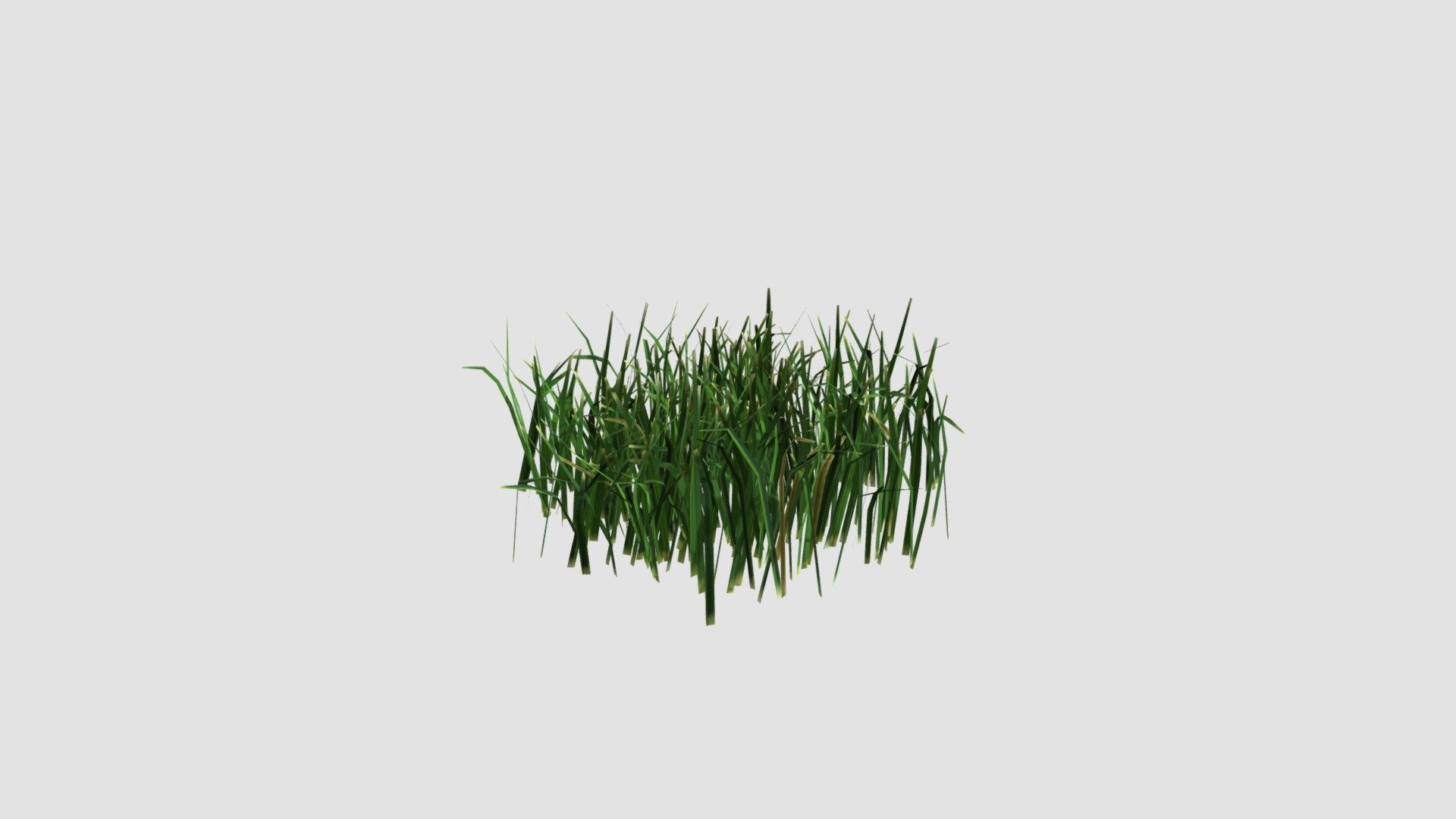 simple grass small - Buy Royalty Free 3D model by Evermotion [f287ca0 ...