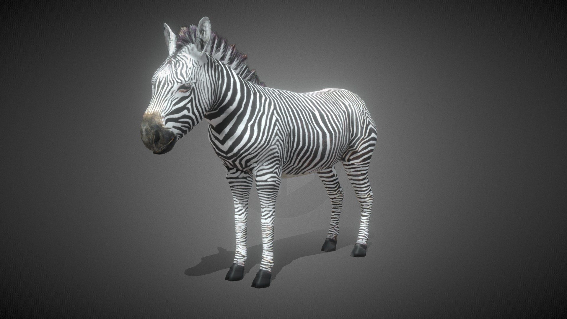 Lowpoly Zebra Animated for VR AR Games - Buy Royalty Free 3D model by ...