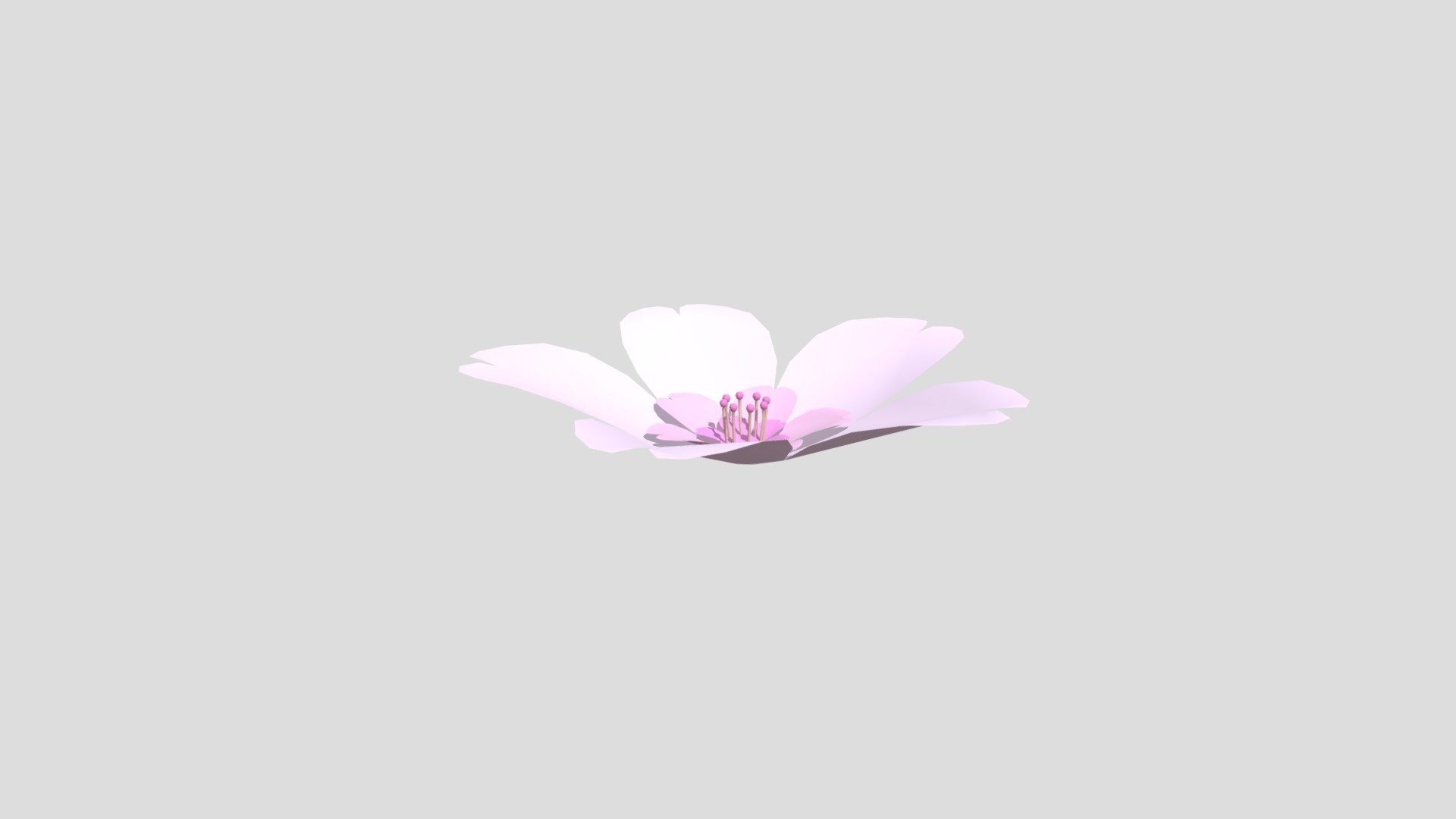 Stylized cherry blossom flower (桜の花) - Download Free 3D model by Voyage ...