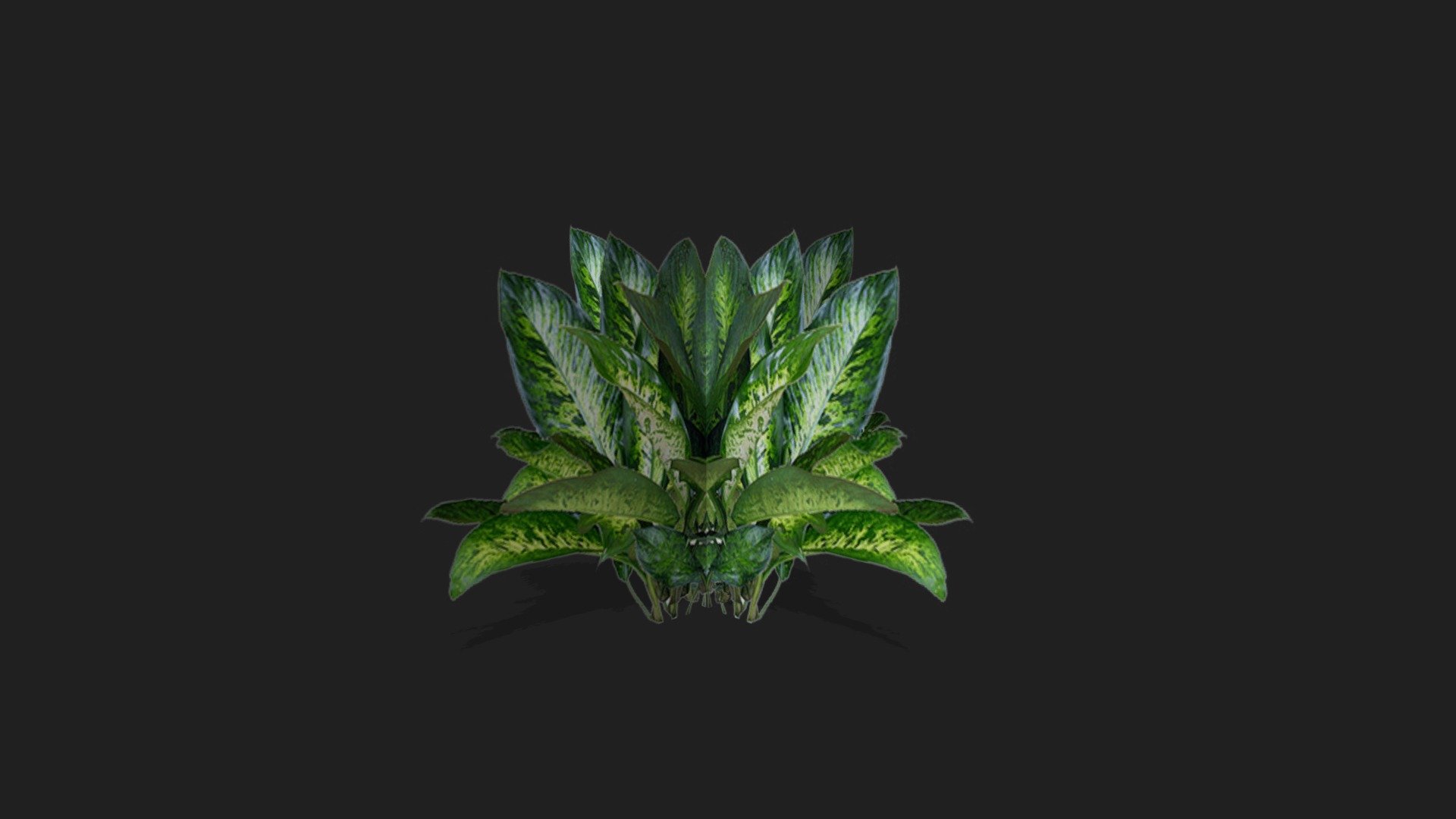 Plant Opacity - Download Free 3D model by Yorus01 [f2a0c6a] - Sketchfab