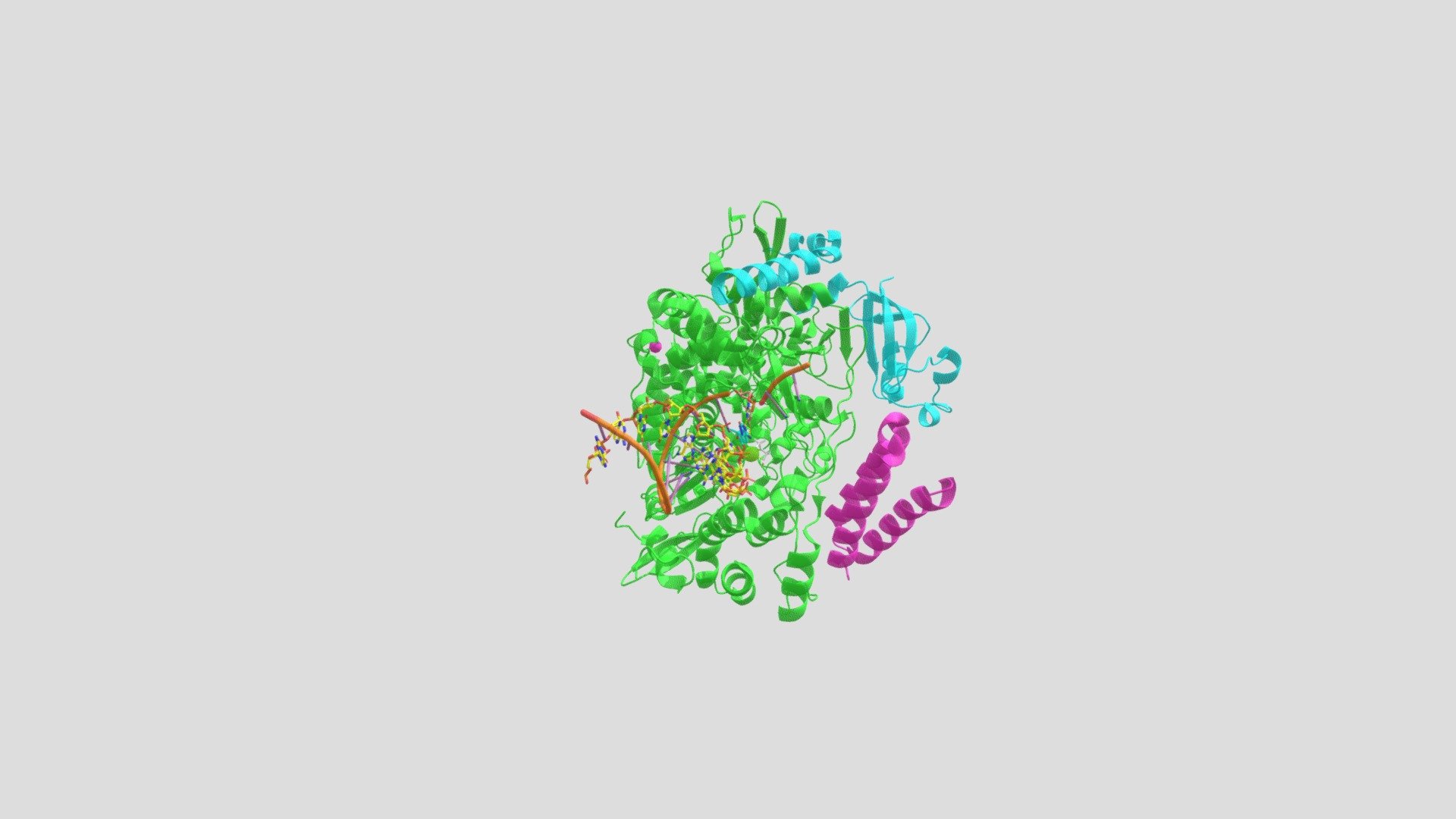 RNA-dependent RNA polymerase and remdesivir - 3D model by biol [f2a6267 ...