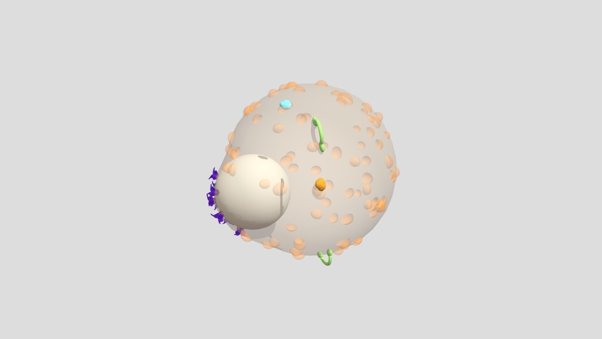 Hepatitis C Virus (single particle model) - Download Free 3D model by ...