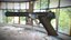 Silenced pistol(High Standard HDM pistol) - Download Free 3D model by ...