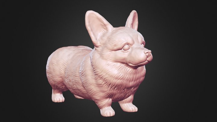 Corgi 3D models - Sketchfab