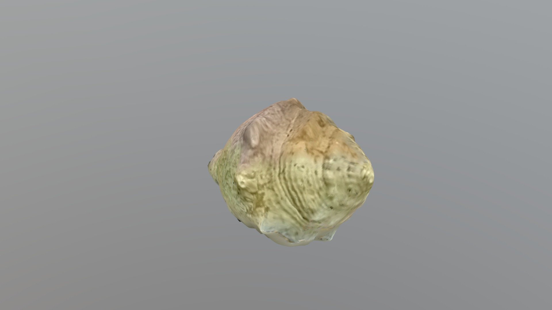 Estero Island 8LL4 - 3D model by JMMehta (@jayur) [f2b883d] - Sketchfab