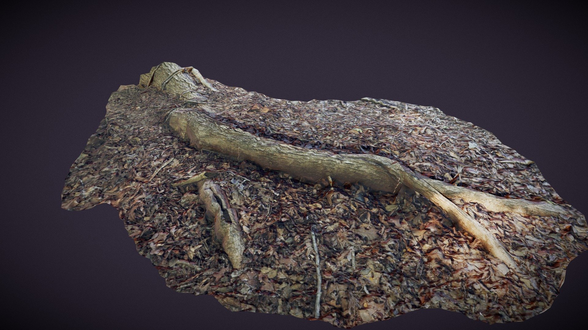 Tree Root - Download Free 3D model by Jacob Hardman (@JDHardman ...