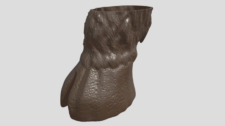 Hoof 3D models - Sketchfab
