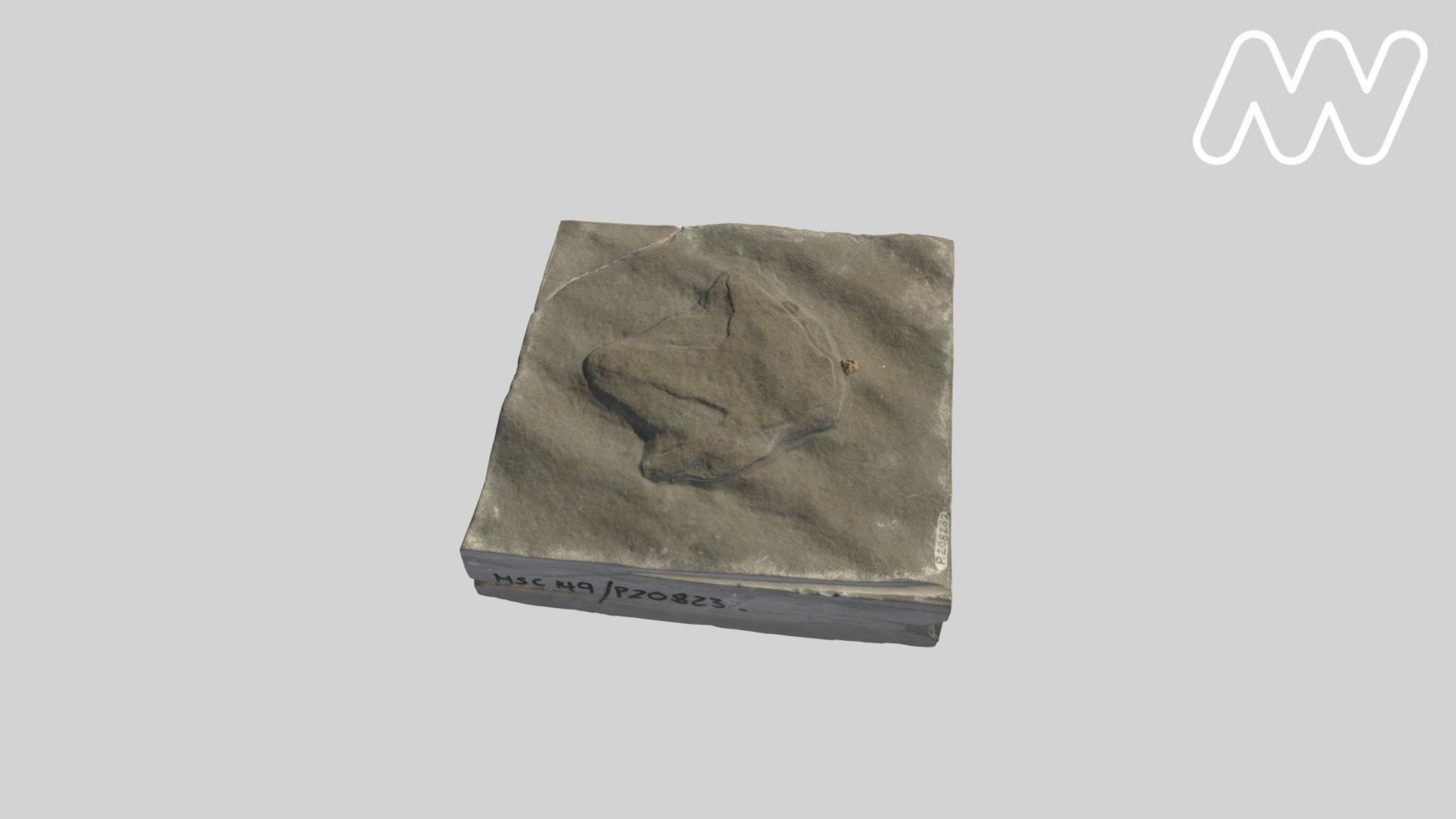 P208232.1 Ichnite - Download Free 3D model by Museums Victoria ...