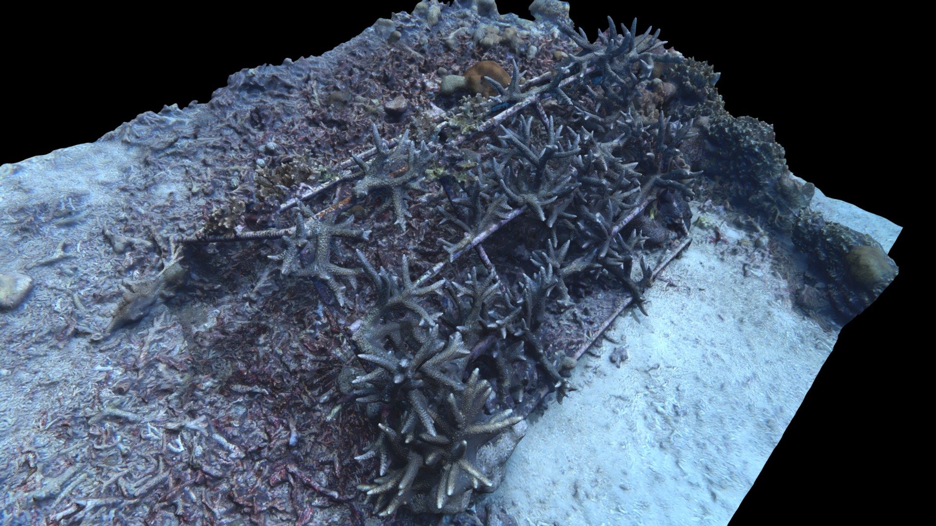 Coral Restoration Frame - 3D model by BlueCornerMarineResearch [f2c2ae4 ...