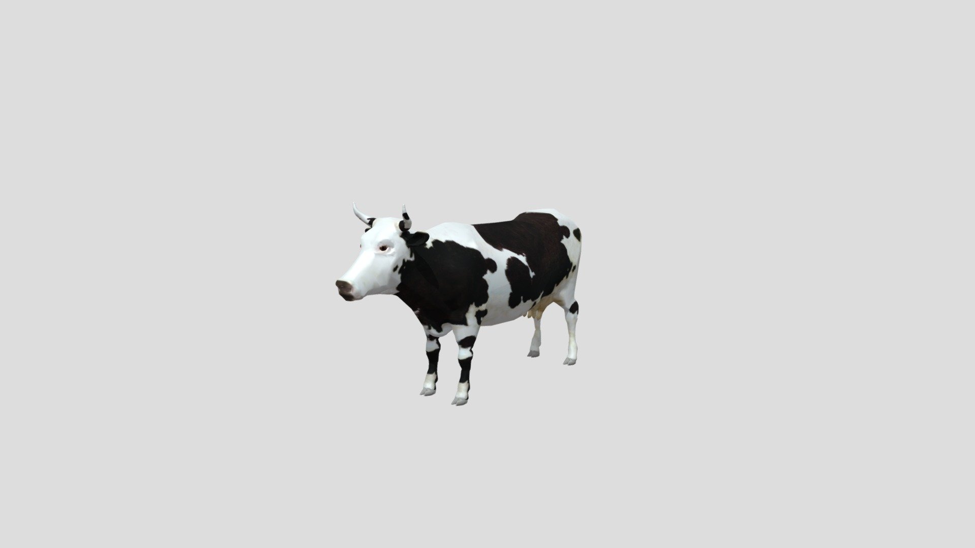 farm_cow_animated_dairy_cattle - Download Free 3D model by senksjay ...
