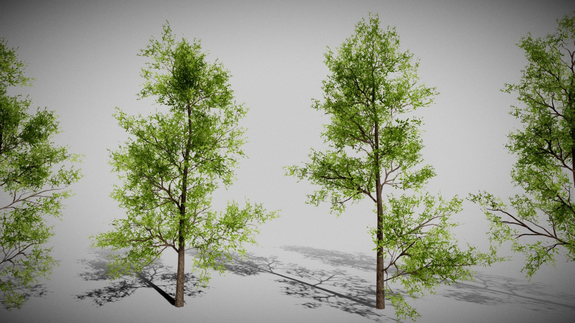 Realistic Low-poly Trees Pack - Buy Royalty Free 3D model by Nicholas ...