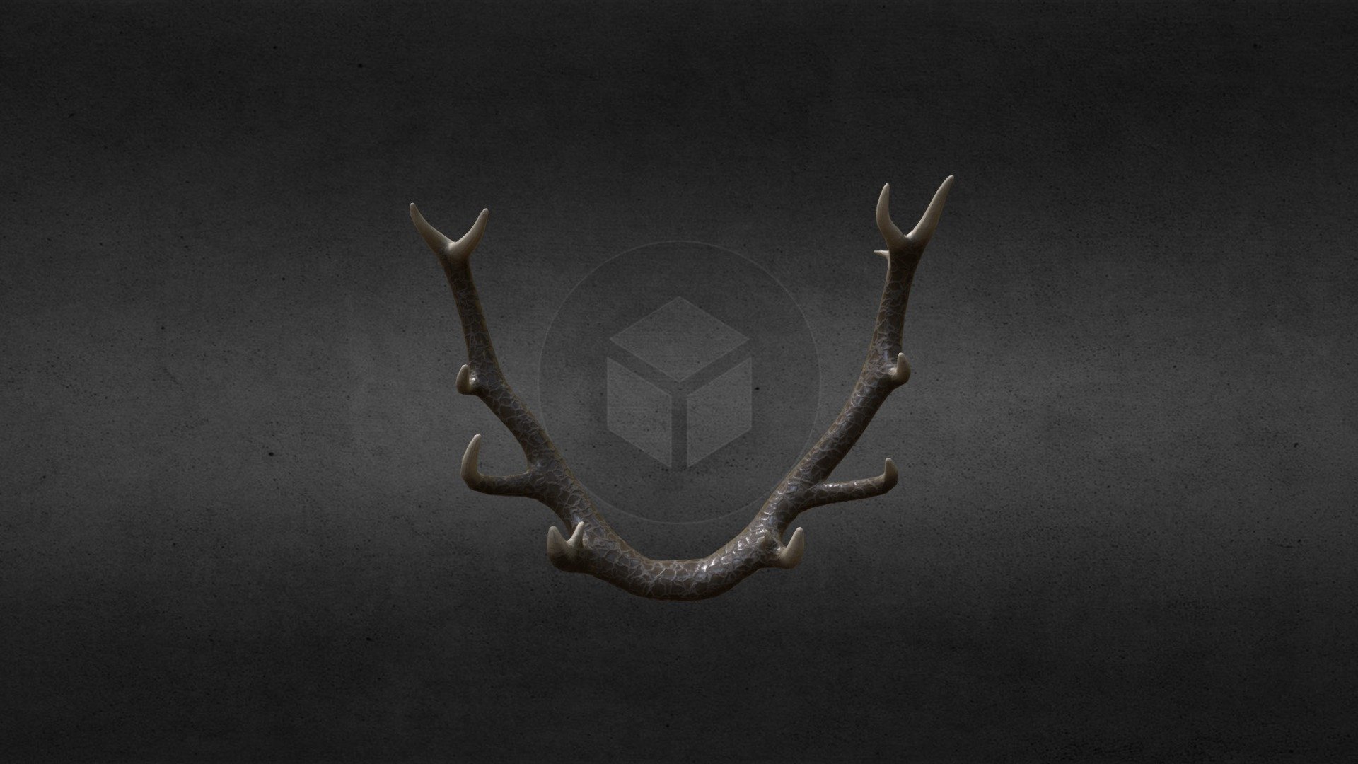 Antlers - 3D model by unwrap [f2e0057] - Sketchfab