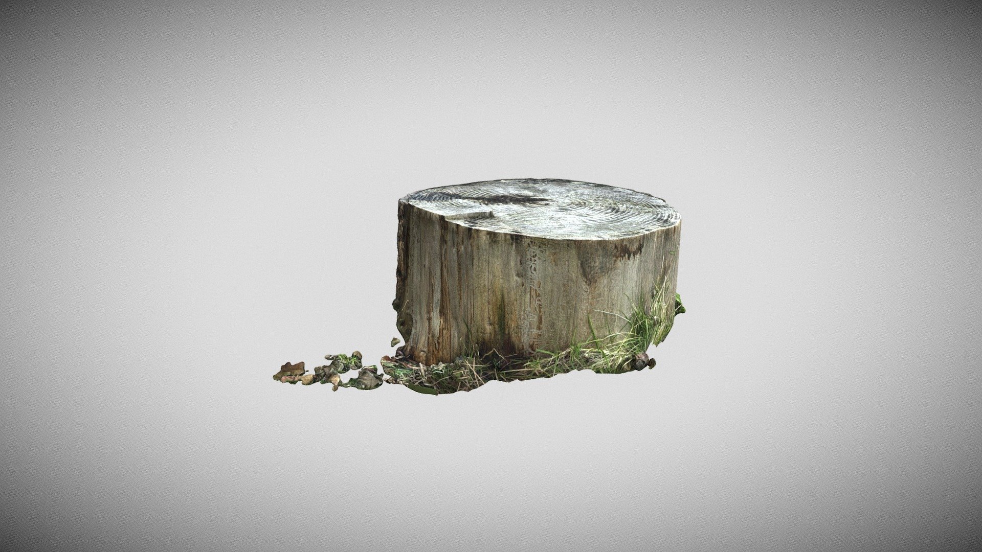 The Log - 3D model by metatwinslabs [f2e141d] - Sketchfab