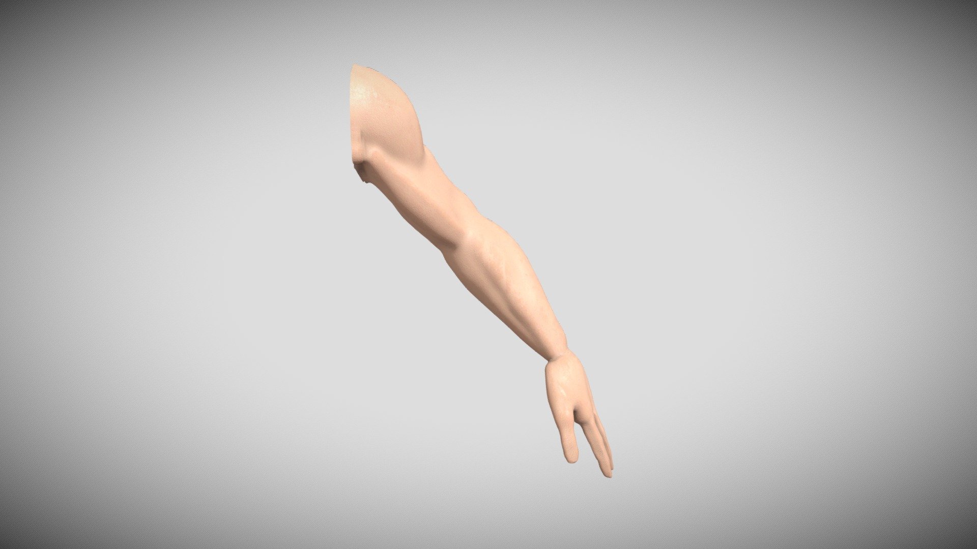 Human Male Arm - 3D model by AngelCrahan [f2e37f6] - Sketchfab