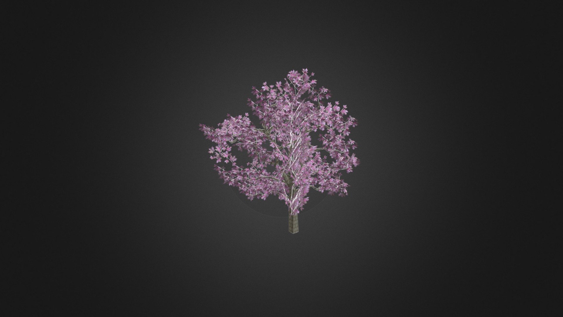 Pink Maple - Download Free 3D model by shirlanne [f2e6c1c] - Sketchfab