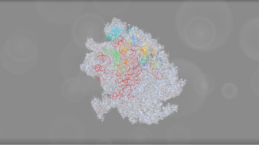 EMD 3145 - 3D model by Interactive 3D Data (@proteinsimulation ...