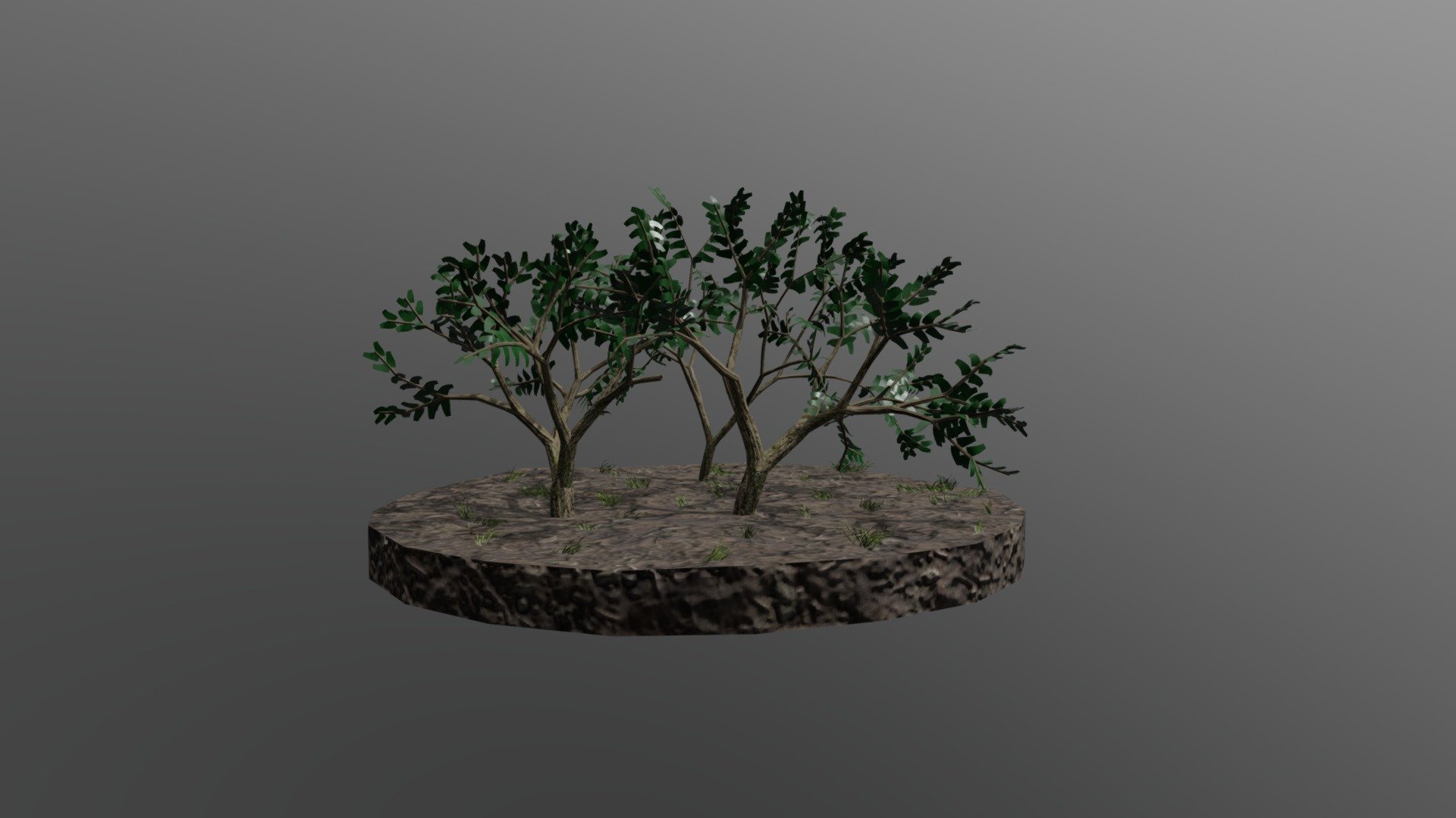 Monkey Environment - 3D model by Chad Green (@WhimzE) [f2f948d] - Sketchfab