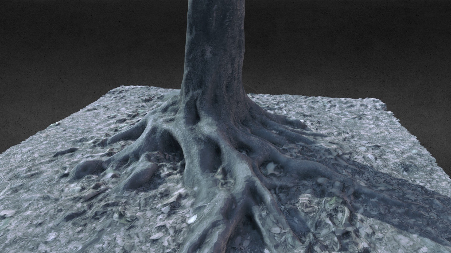 Tree roots - 3D model by brenda.exe [f301dae] - Sketchfab