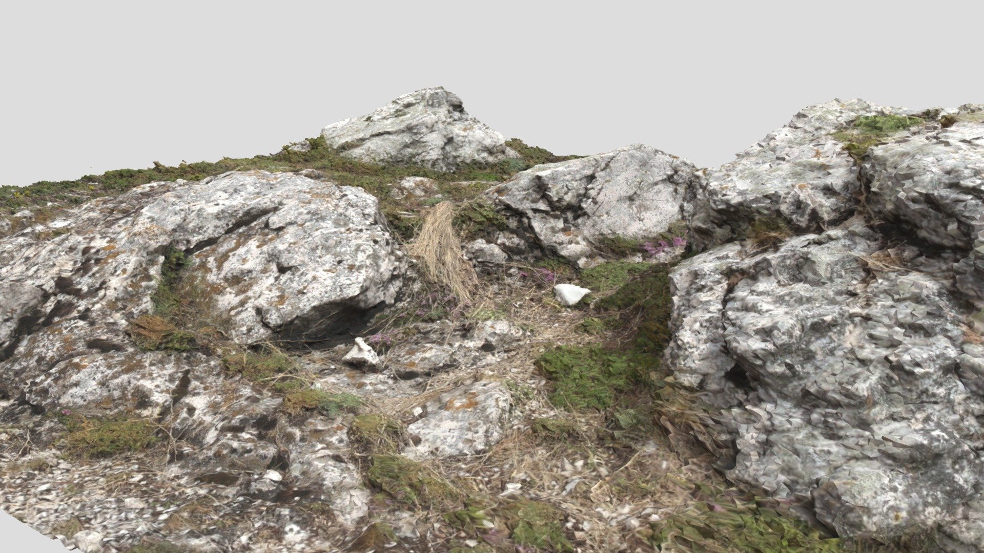 natural forms - Download Free 3D model by Crypto_alein [f3024b5 ...