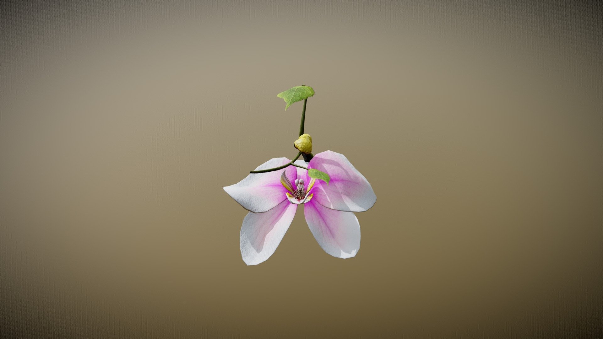 Mantis Moth - 3D model by Vida Systems (@objects1) [f30b26a] - Sketchfab