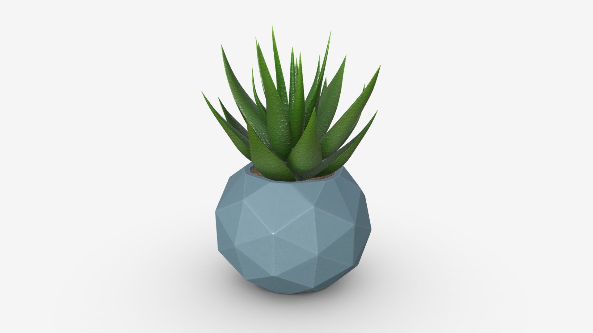 Succulent in planter 01 - Buy Royalty Free 3D model by HQ3DMOD ...