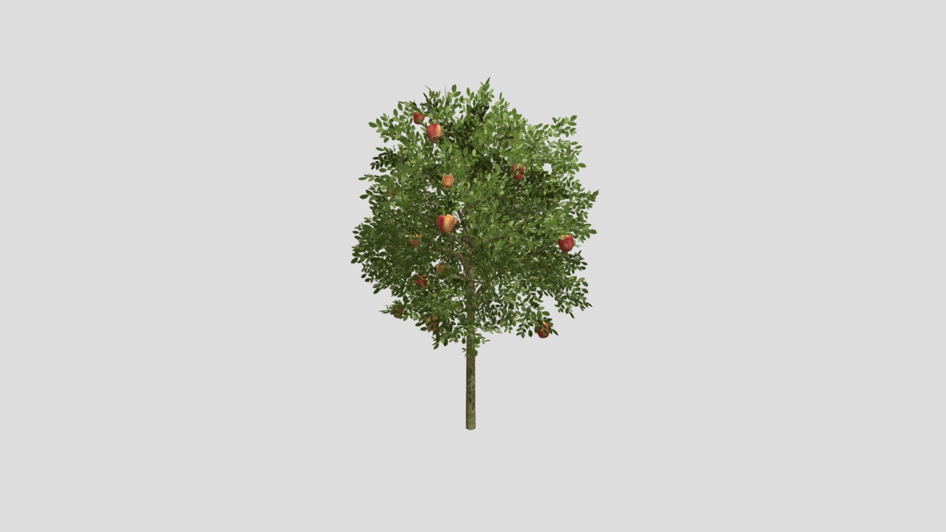 Apple Tree. - 3D model by blackgroup03 [f30f9d5] - Sketchfab
