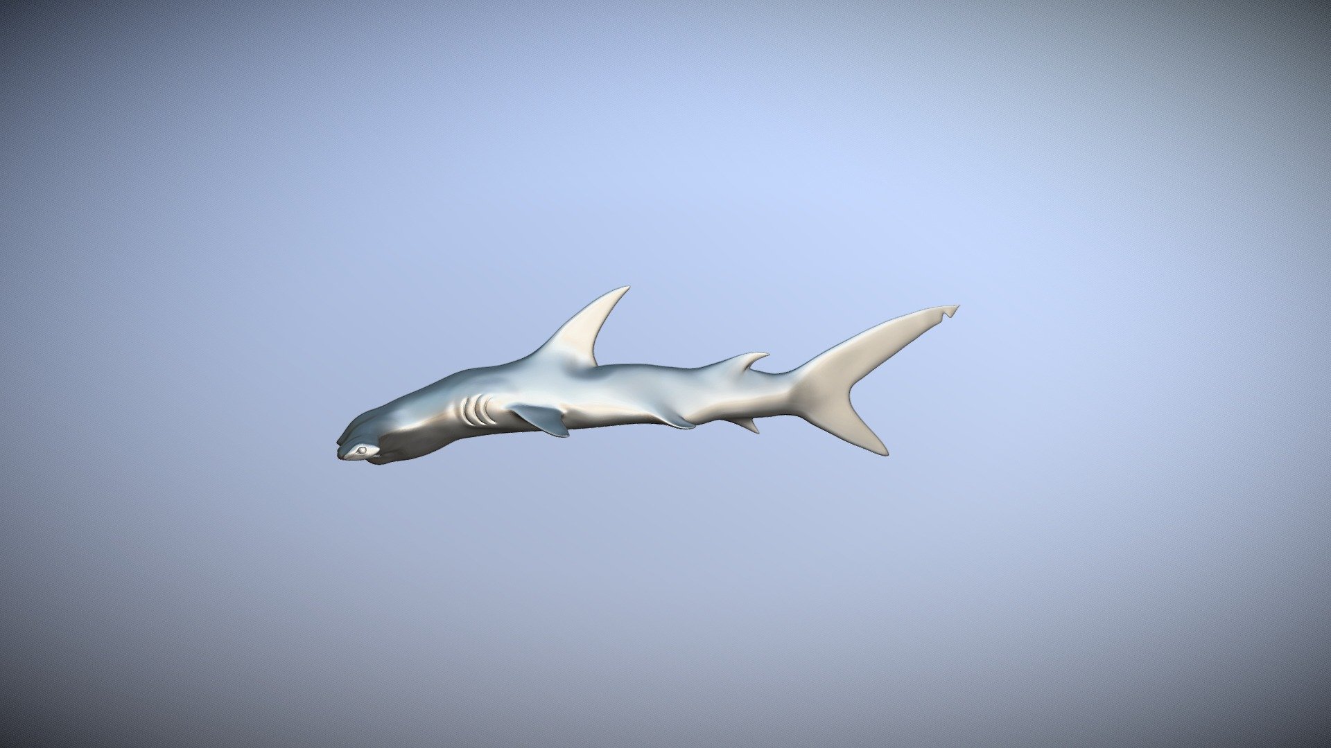 Hammerhead Shark - 3D model by yash_mohan (@yashmohansingh5) [f3138ee ...