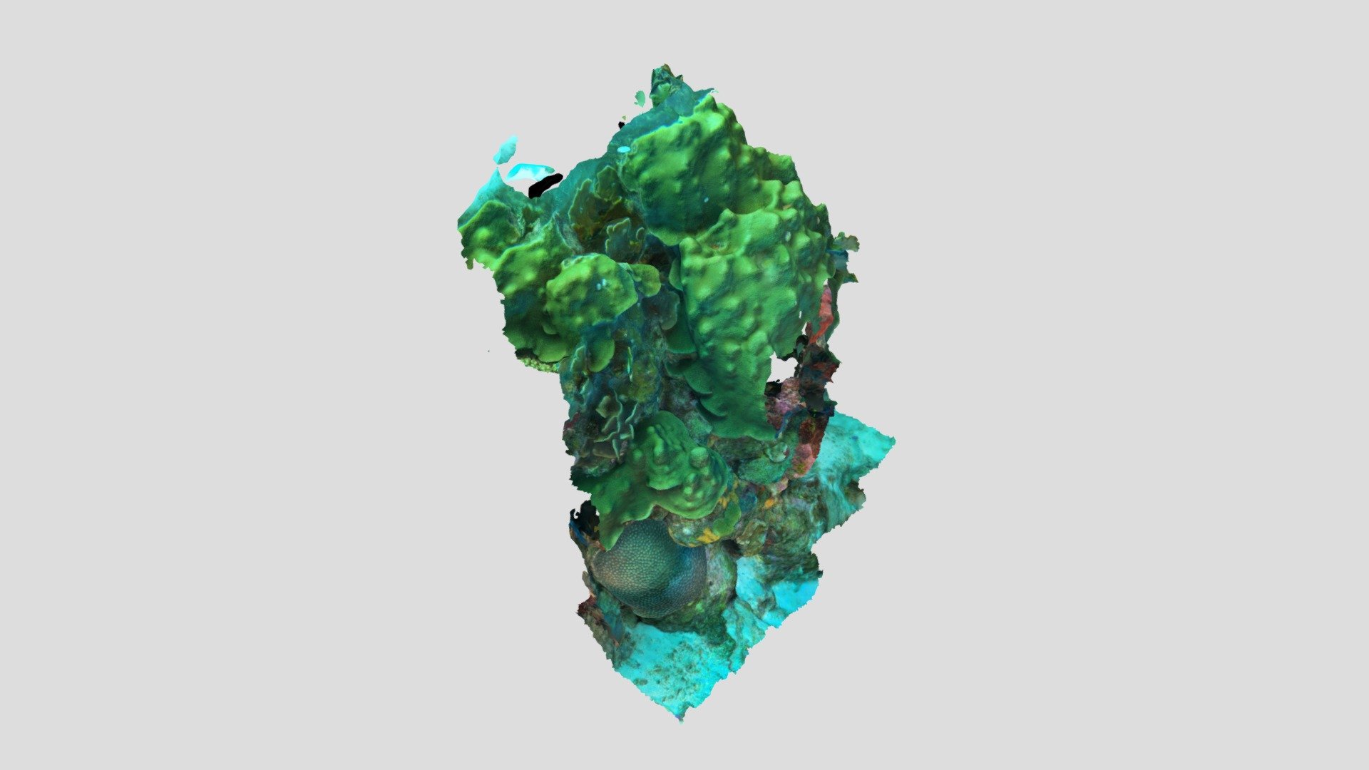 Sea Aquarium_5 - 3D model by coralreefs.kornder [f3169bf] - Sketchfab