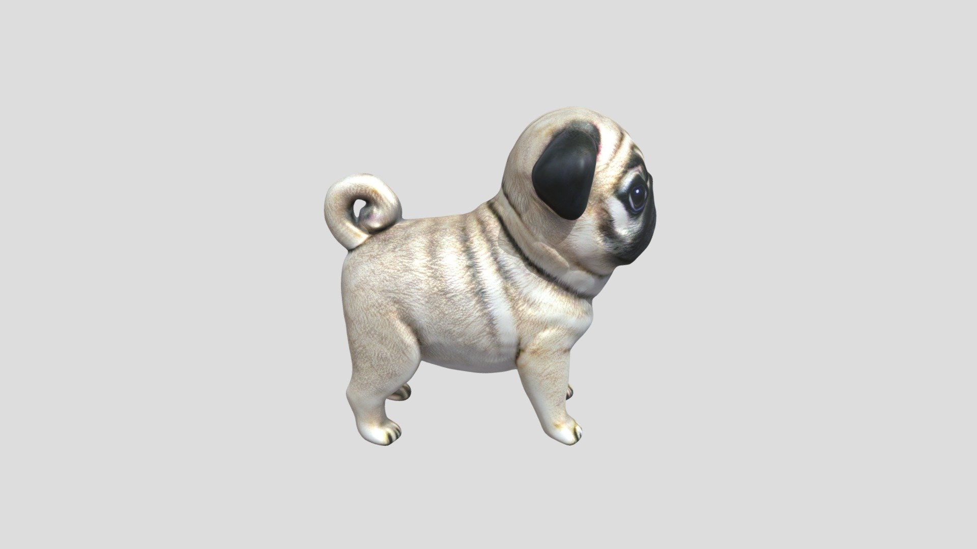 A Cute Pug Puppy - Download Free 3D model by CuiZi (@CuiZiheng001 ...